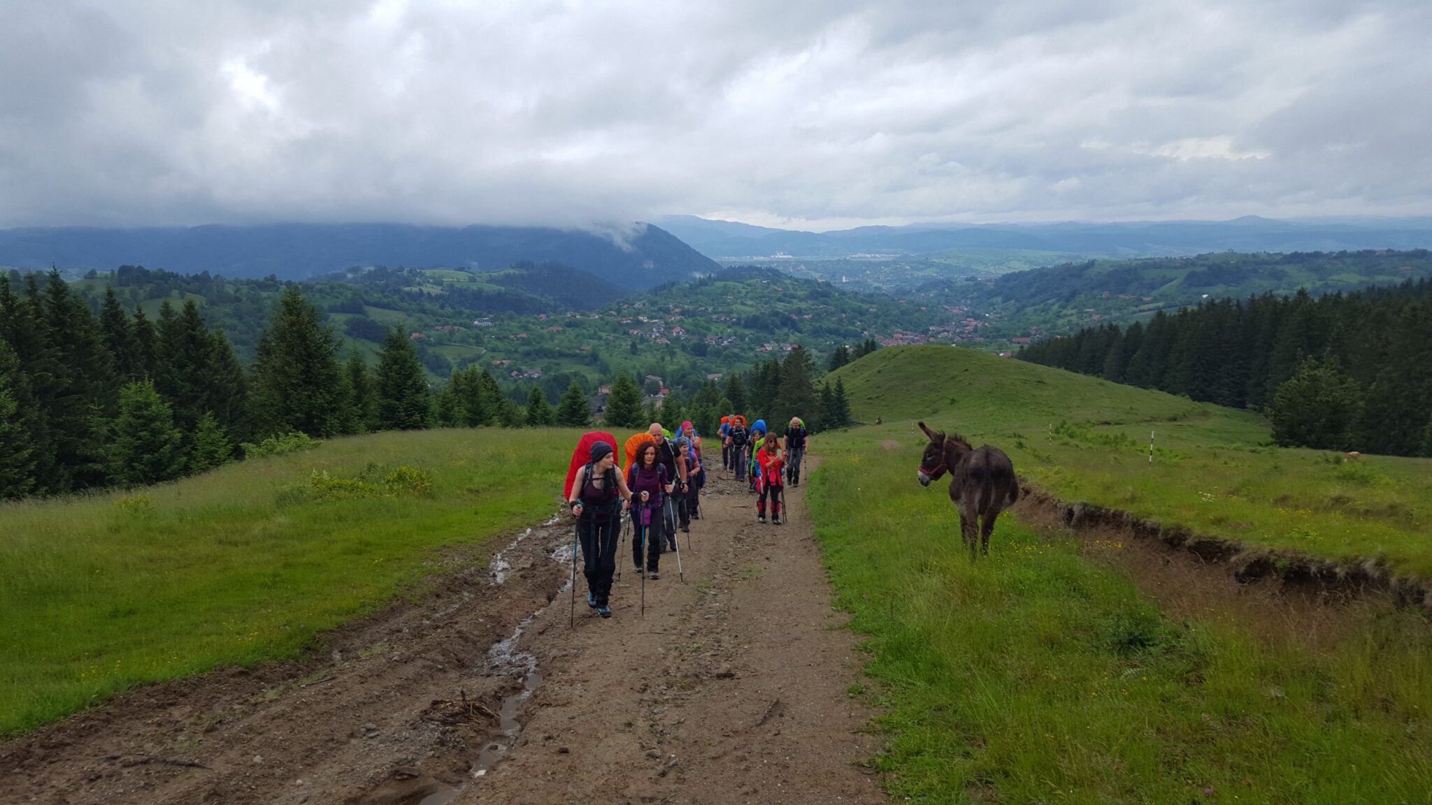 La cort in Bucegi. Bran - Clincea - Culmea Tiganesti - Partea 1 ...