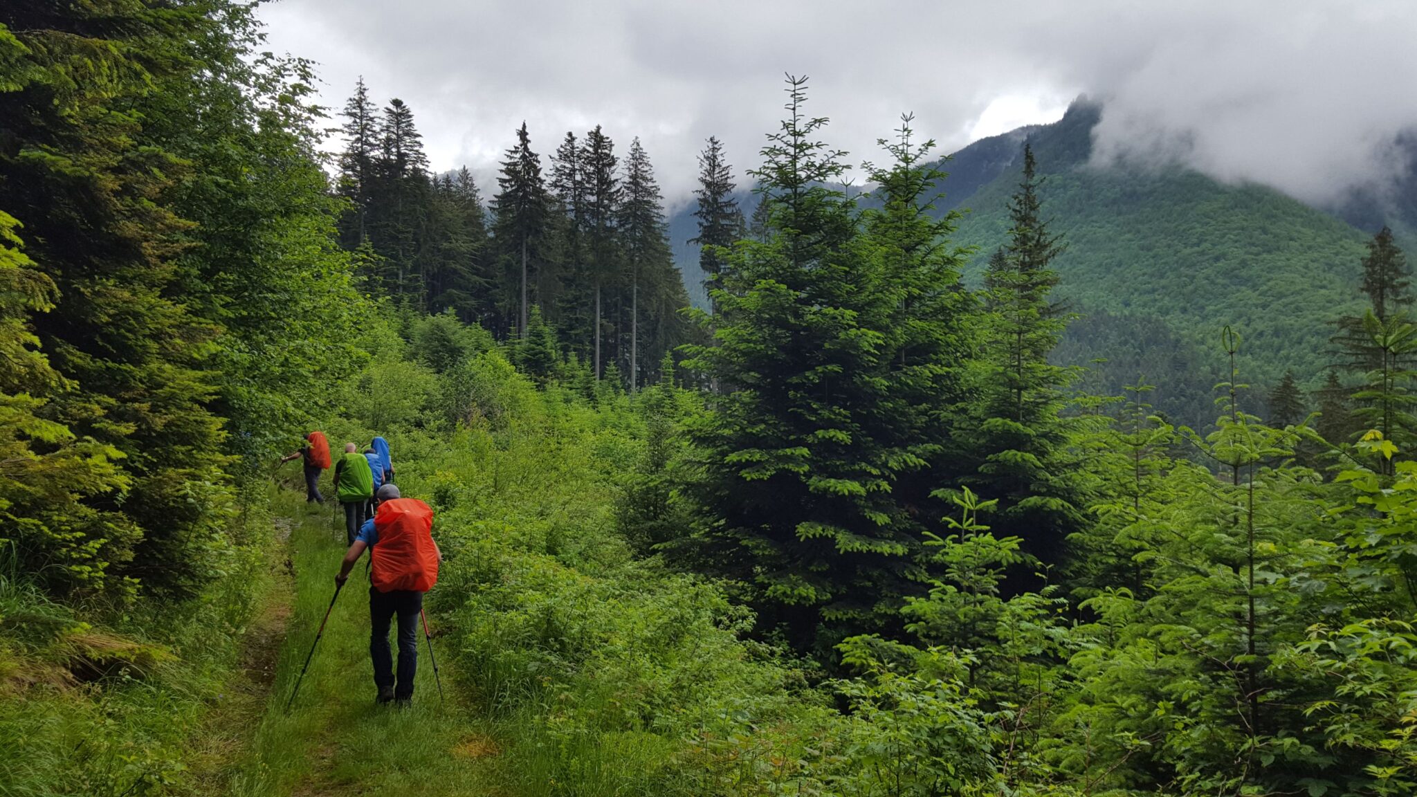 La cort in Bucegi. Bran - Clincea - Culmea Tiganesti - Partea 1 ...